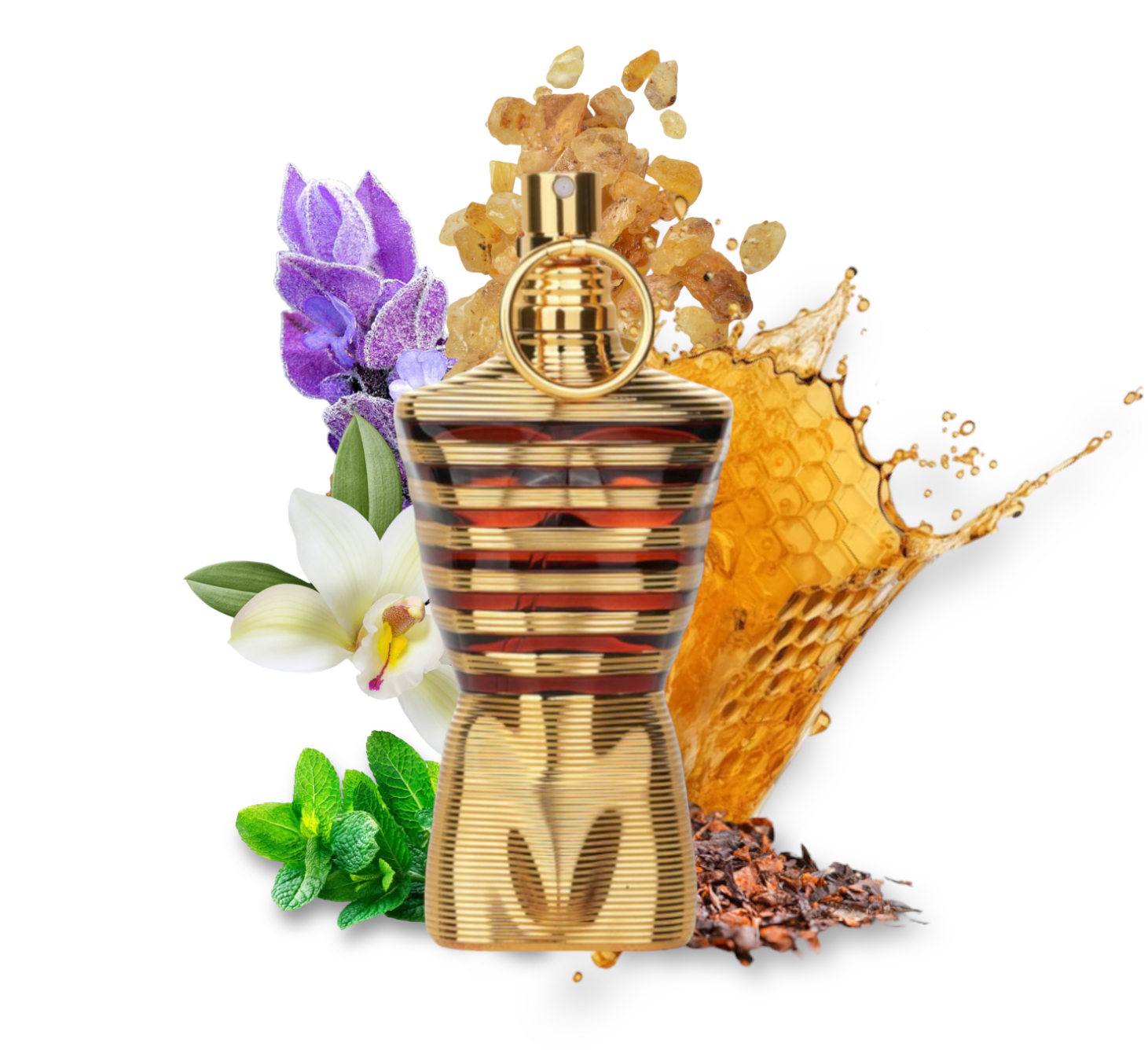 Le Male Elixir Parfum - Fragrance Galore