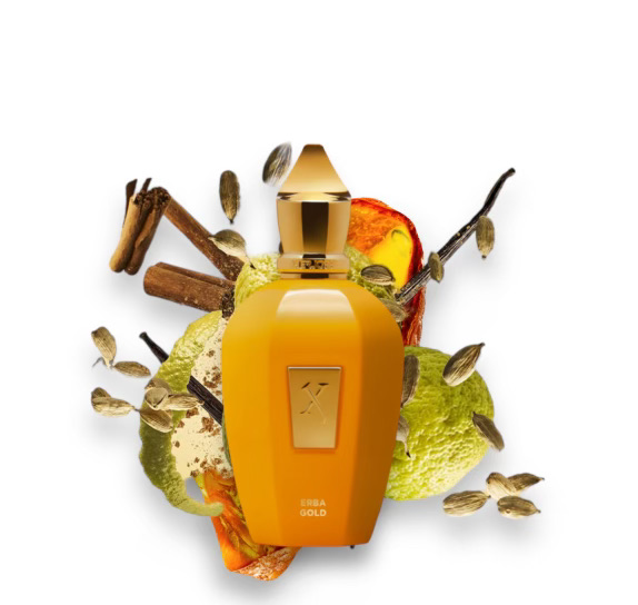 Erba Gold Eau de Parfum - Fragrance Galore