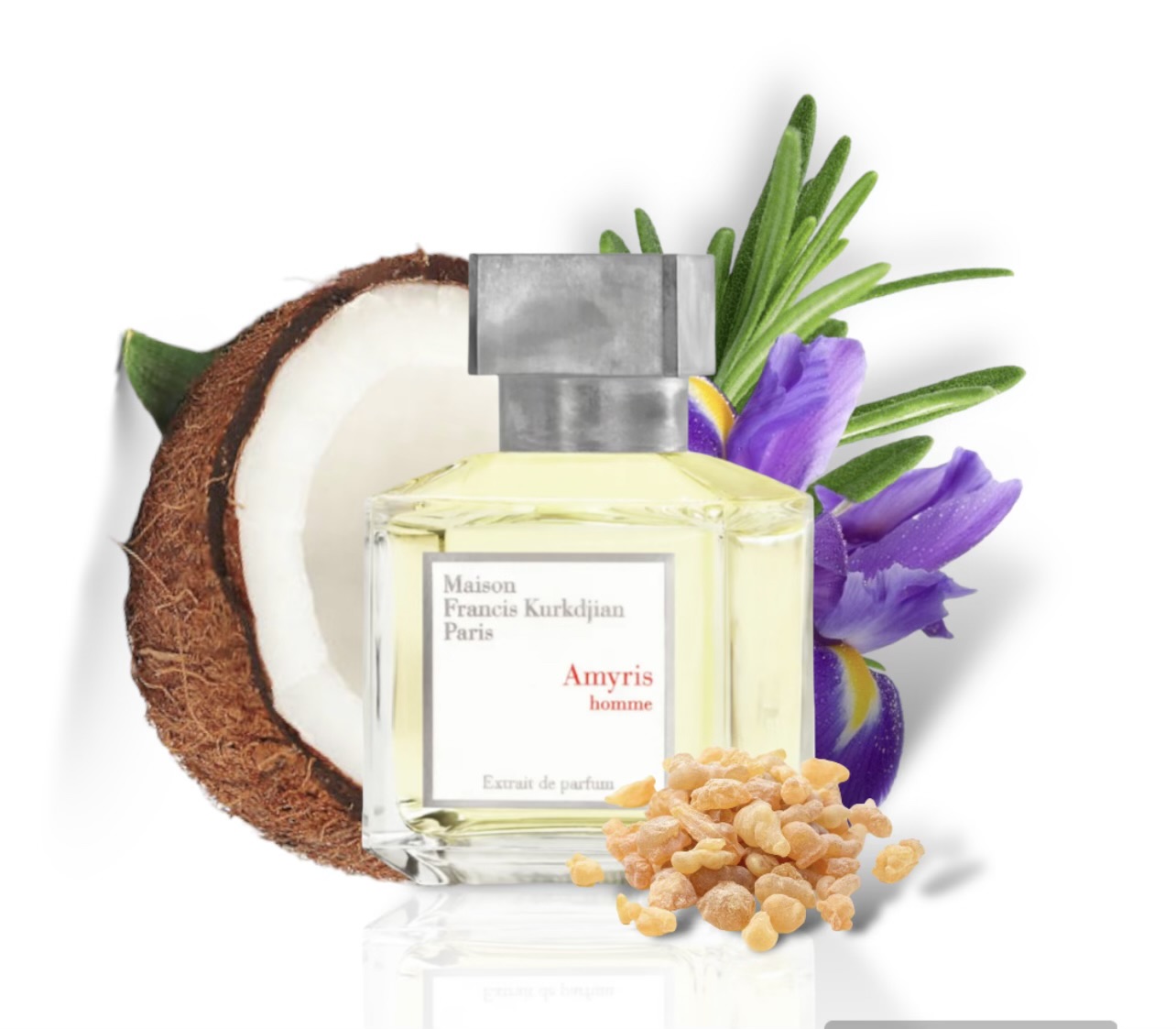 Amyris Homme Eau de Toilette - Fragrance Galore