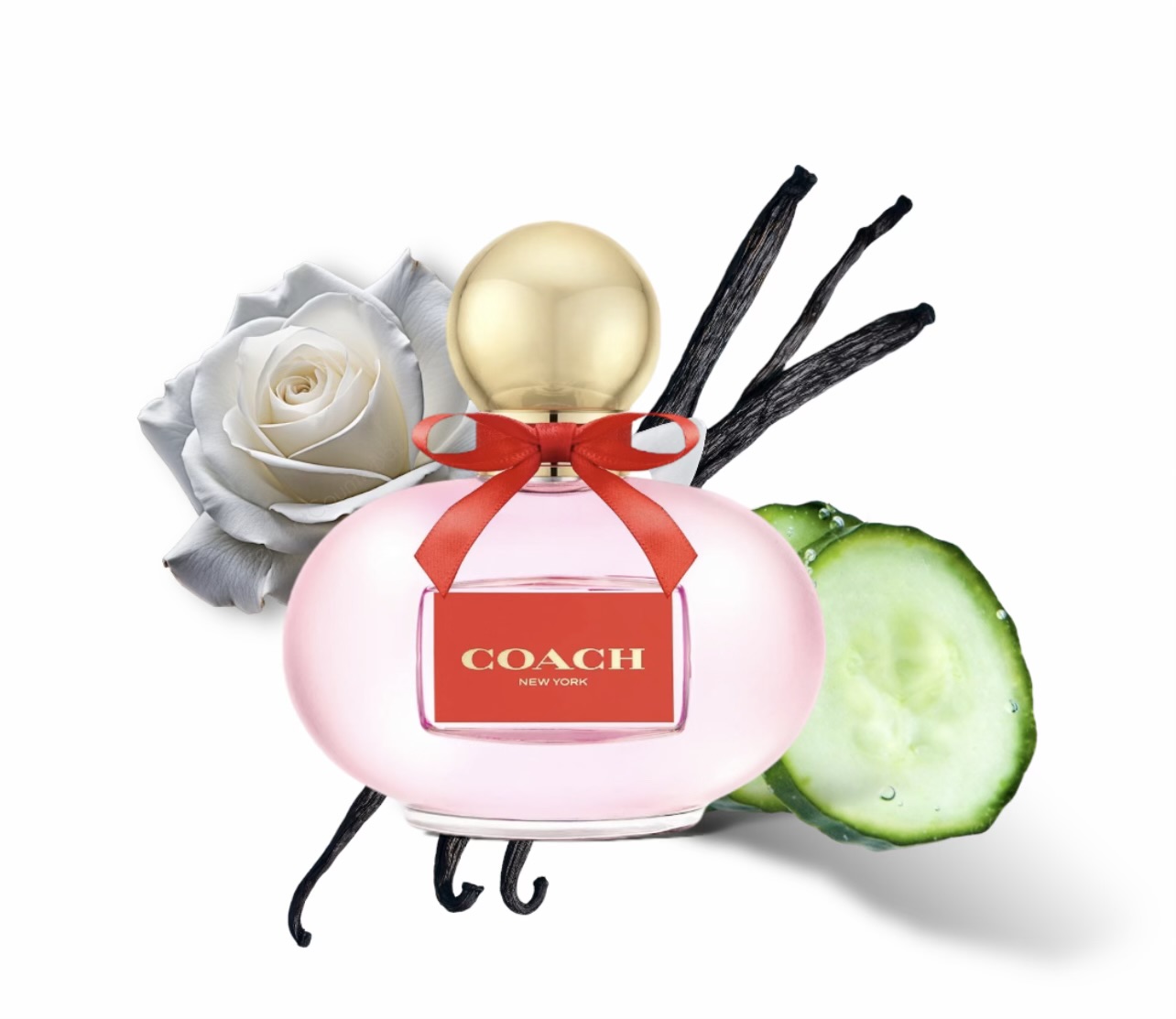Poppy Eau de Parfum - Fragrance Galore