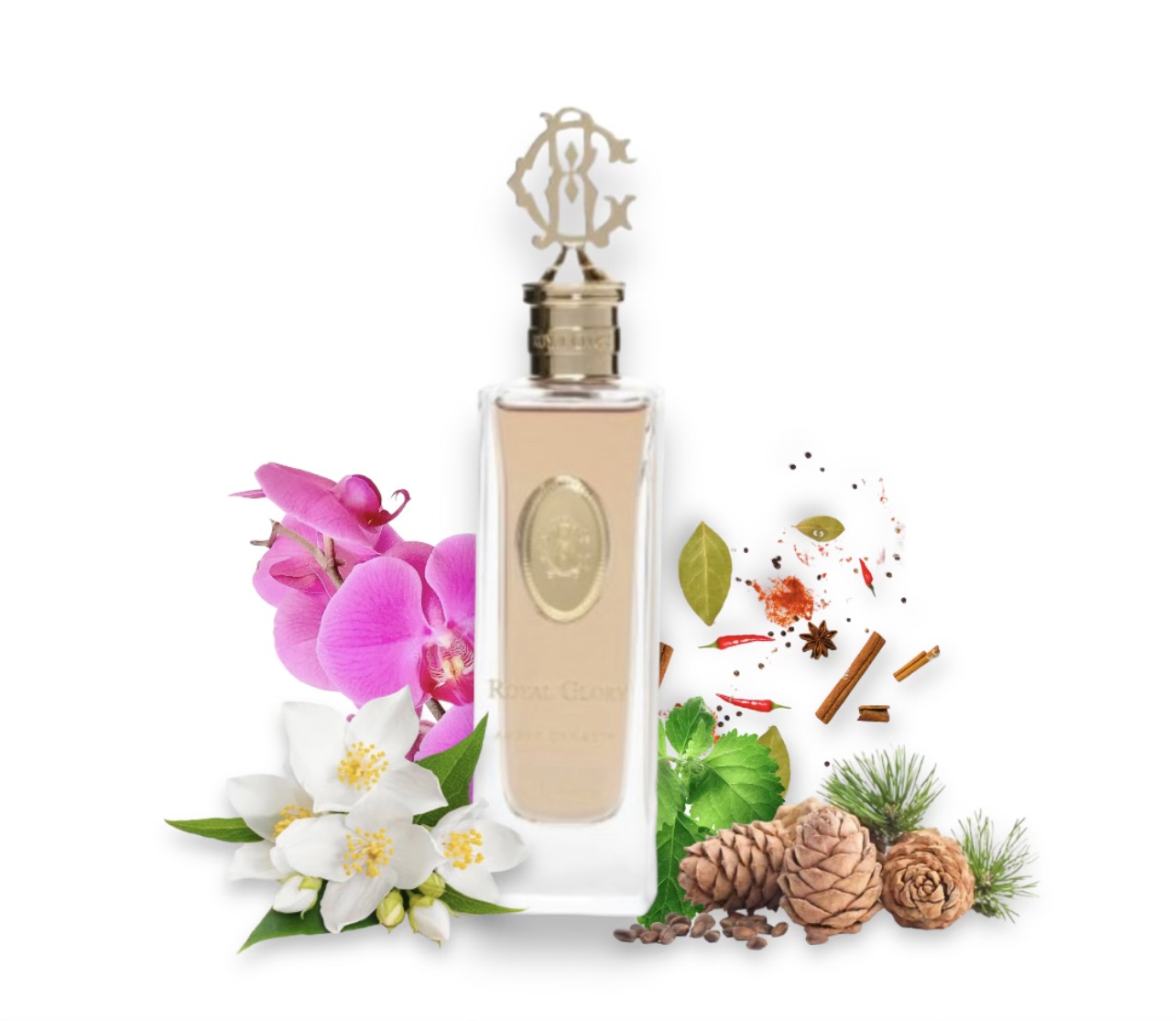 Amber Dynasty Eau de Parfum - Fragrance Galore